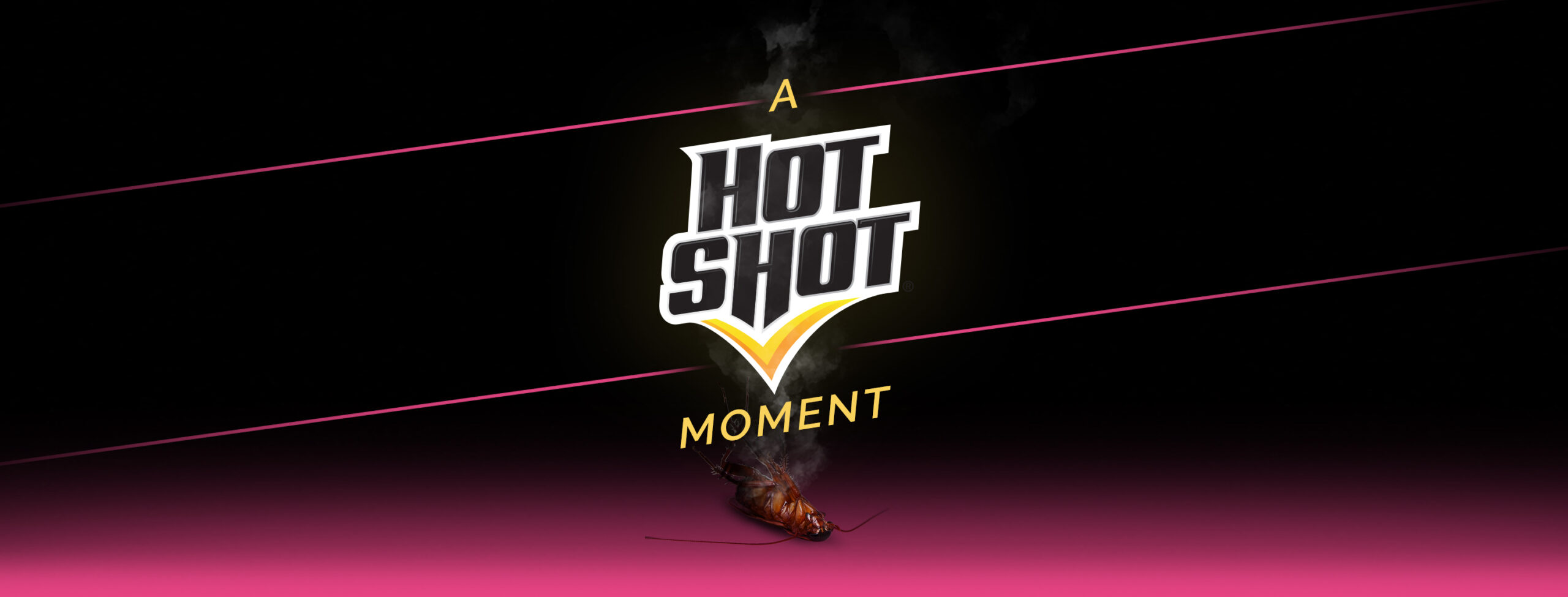 Introducing Hot Shot® Insecticides | 888 Lots Blog