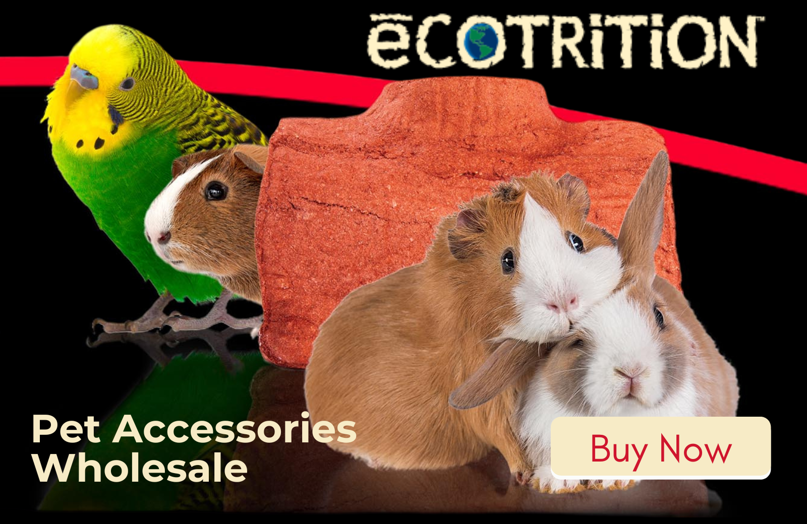 Expand Your Pet Care Selection with Ecotrition® Products at 888Lots ...